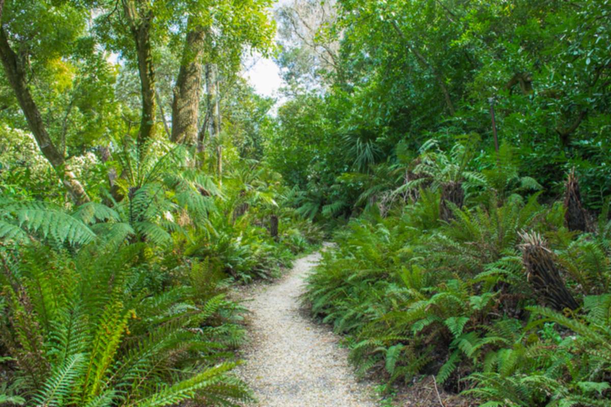 Wombat Hill Botanic Gardens | Goldfields Guide