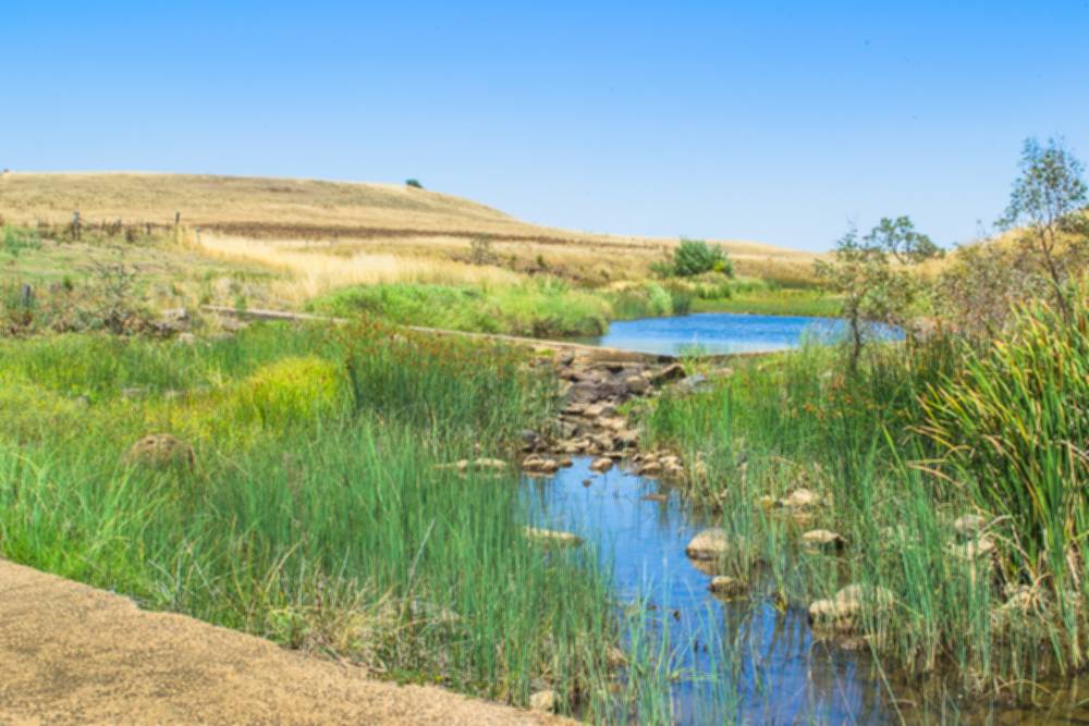 Tullaroop Creek Streamside Reserve | Goldfields Guide