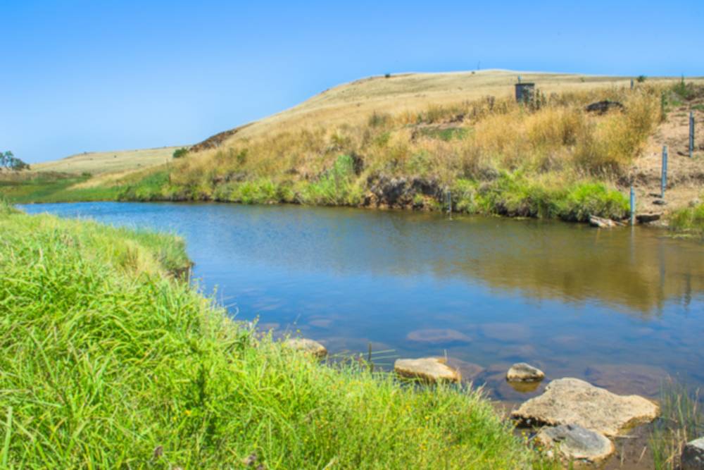 Tullaroop Creek Streamside Reserve | Goldfields Guide