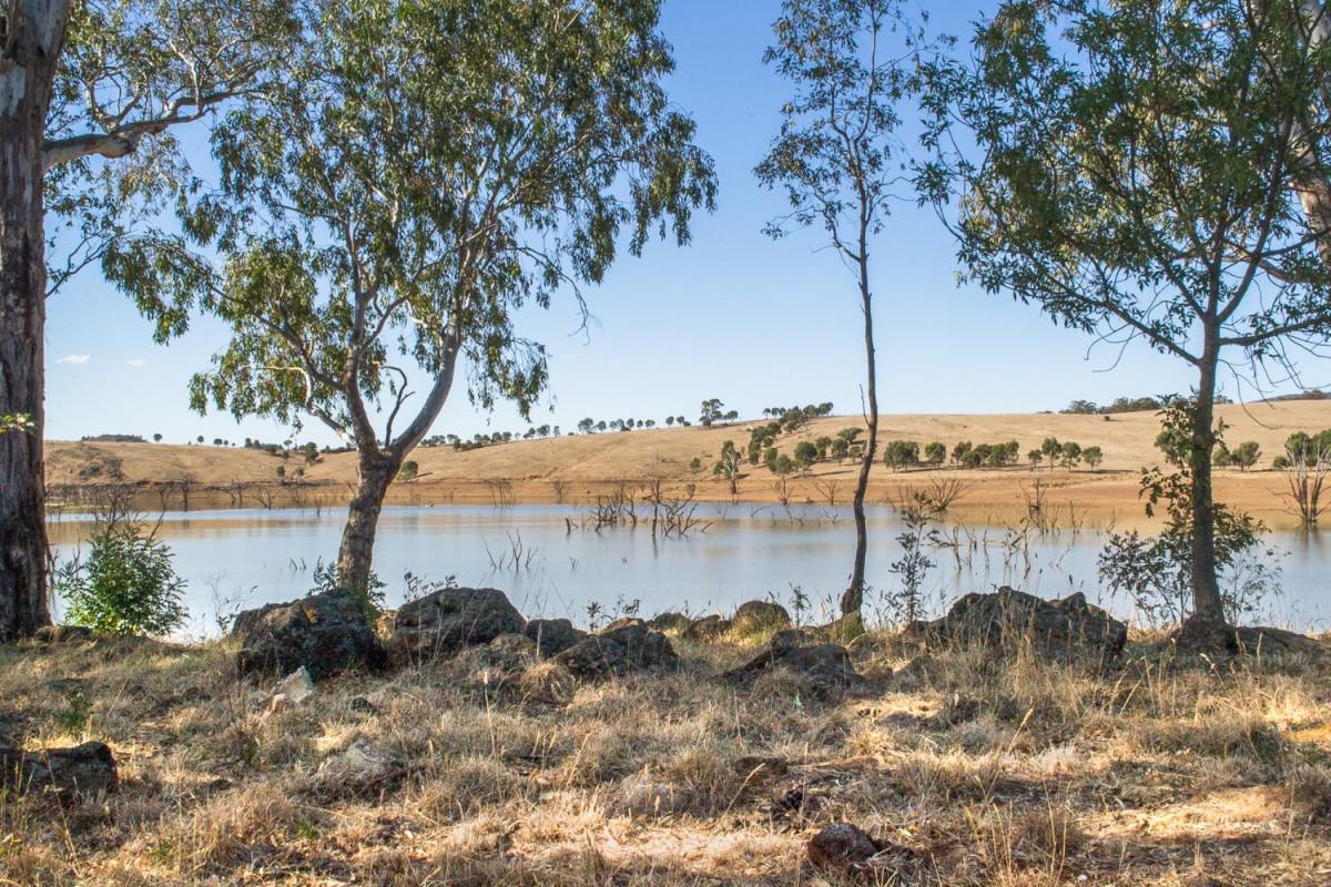 Picnic Point - Cairn Curran | Goldfields Guide
