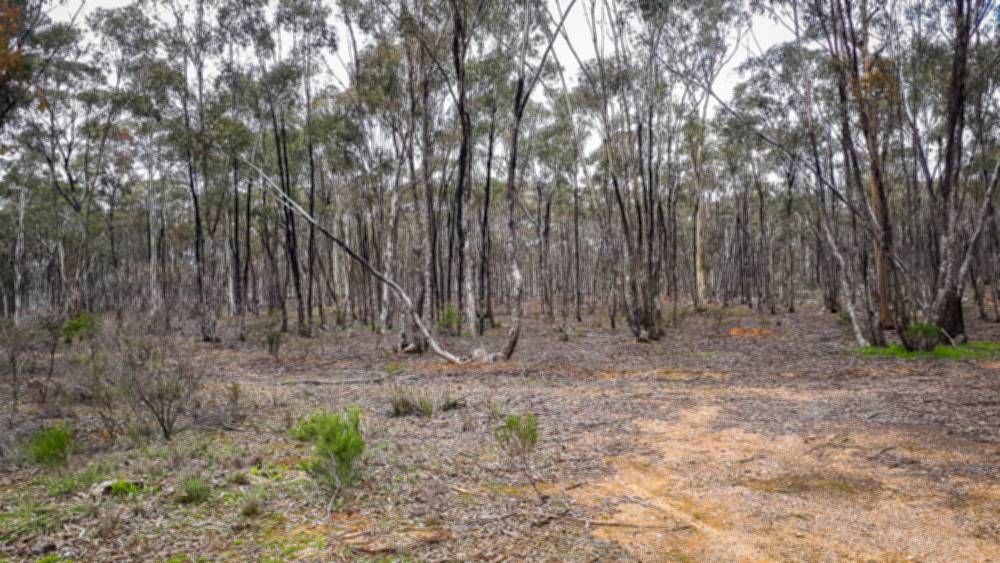 Moonlight Bushland Reserve | Goldfields Guide