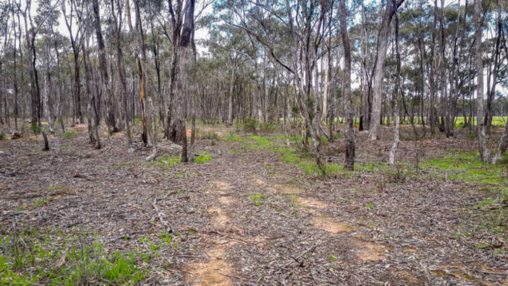 Moonlight Bushland Reserve | Goldfields Guide