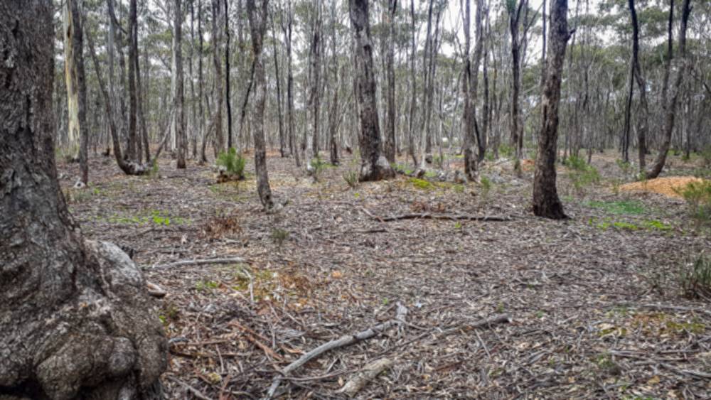 Moonlight Bushland Reserve | Goldfields Guide