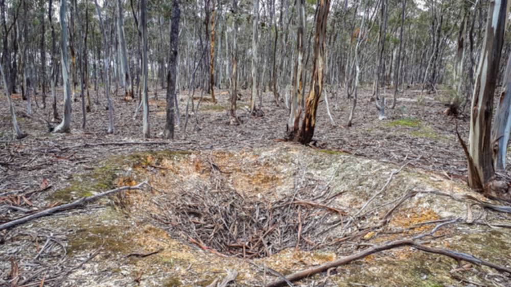 Moonlight Bushland Reserve | Goldfields Guide