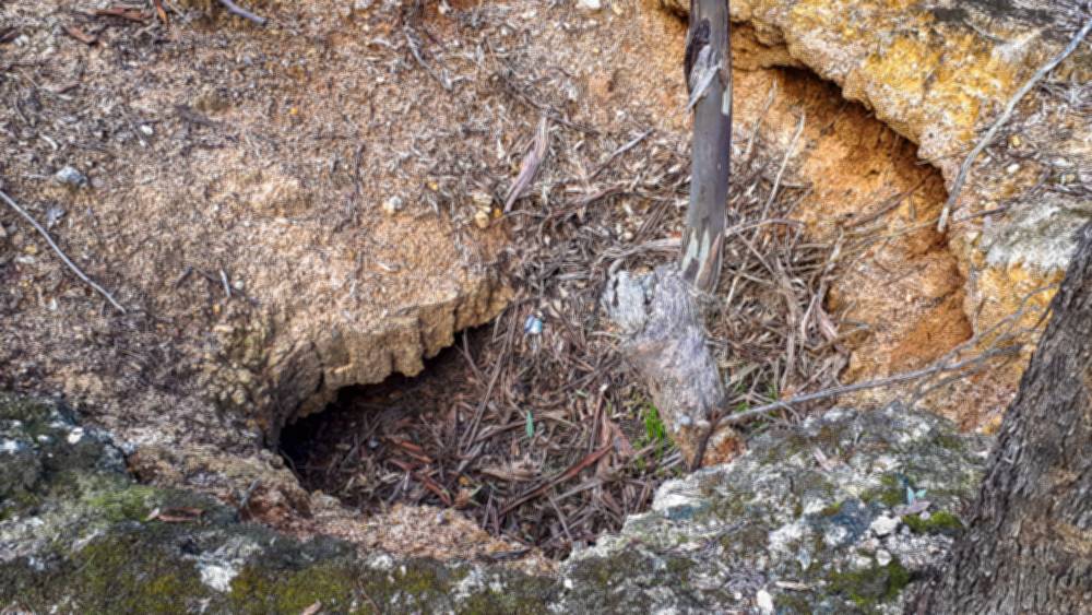 Moonlight Bushland Reserve | Goldfields Guide