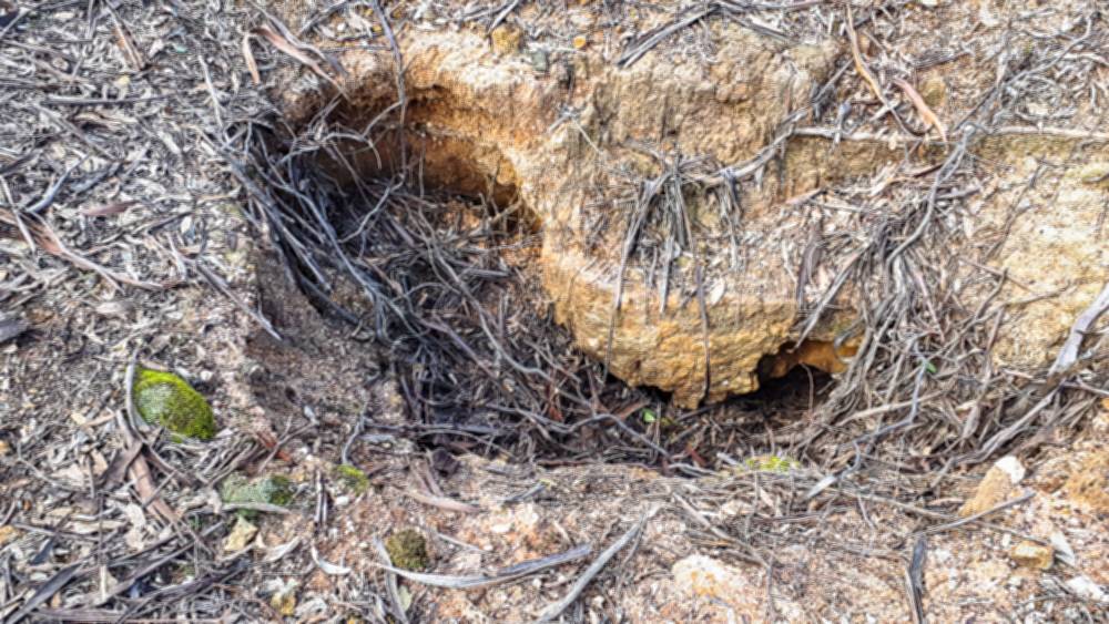 Moonlight Bushland Reserve | Goldfields Guide