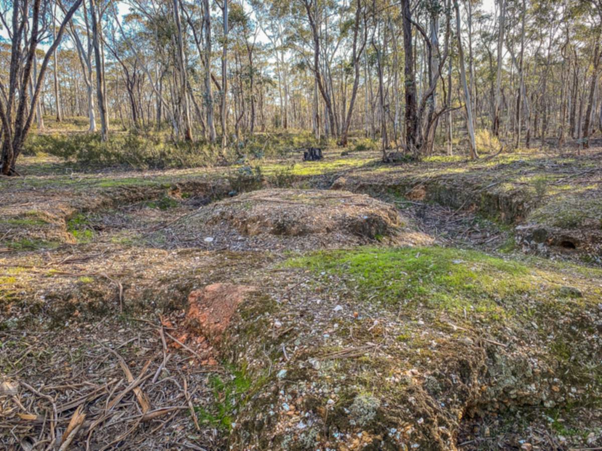 Gold Puddler off M32 Track | Goldfields Guide