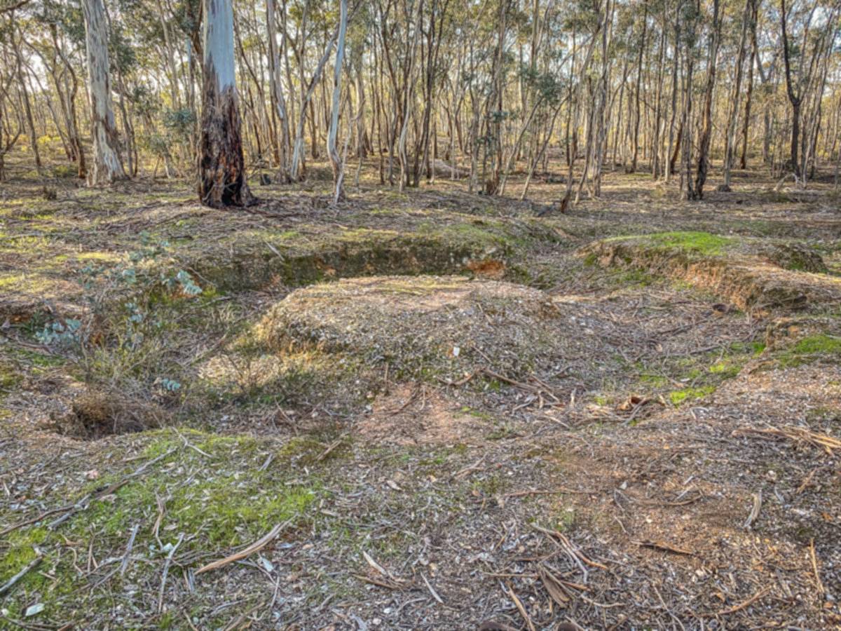 Gold Puddler off M32 Track | Goldfields Guide