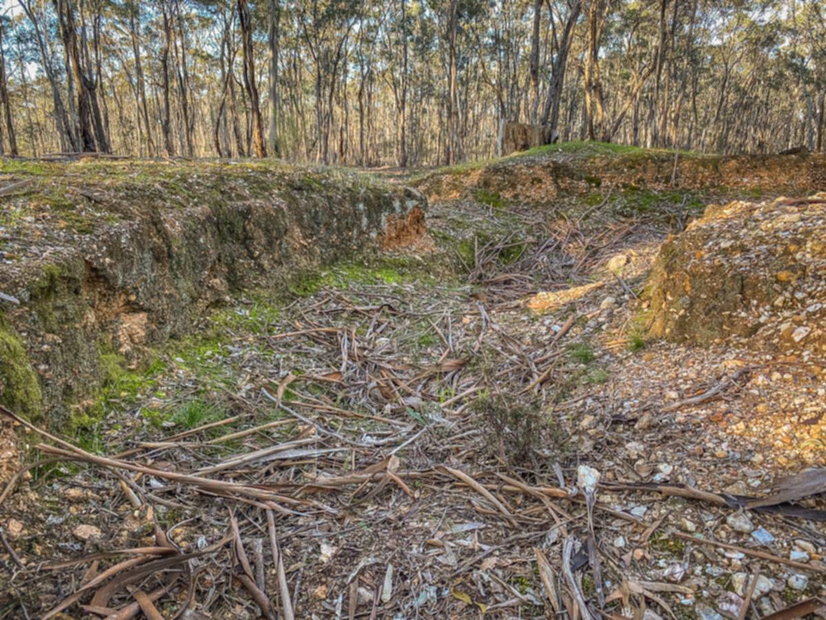 Gold Puddler off M32 Track | Goldfields Guide