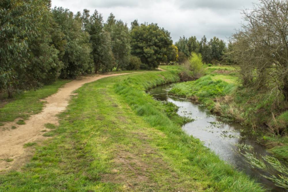 Miners Rest Community Park | Goldfields Guide
