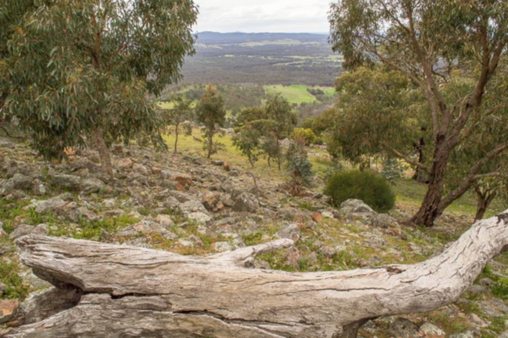 Mount Moliagul | Goldfields Guide
