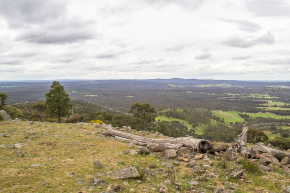 Mount Moliagul | Goldfields Guide