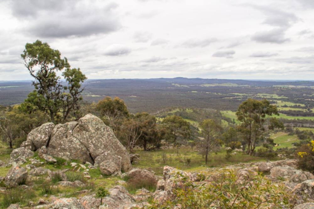Visit Dunolly, Victoria | Goldfields Guide