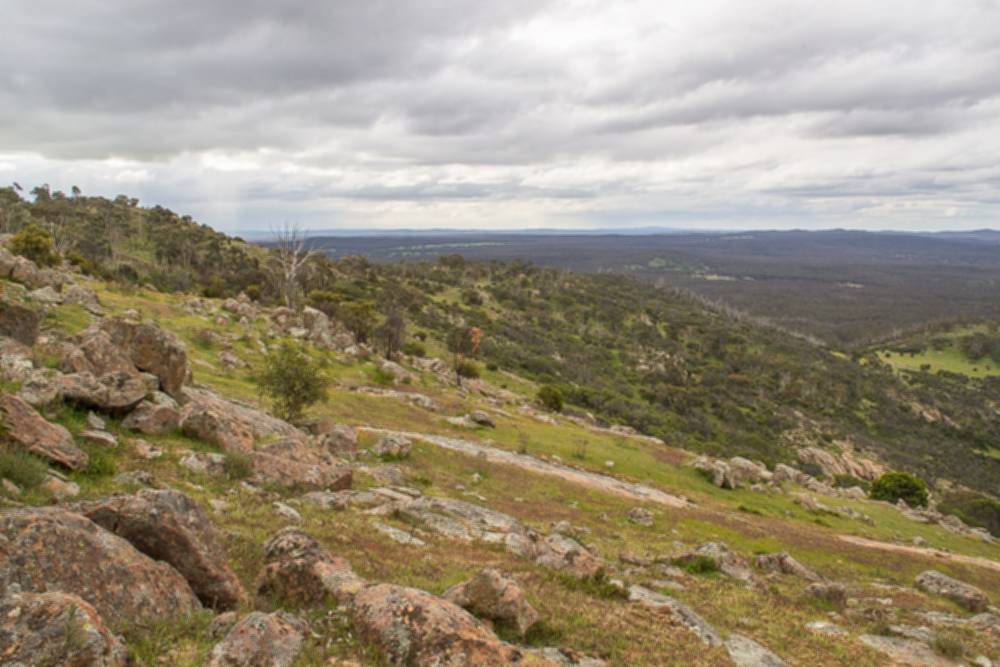 Mount Moliagul | Goldfields Guide