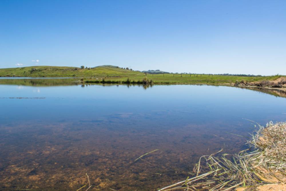 Hepburn Lagoon | Goldfields Guide