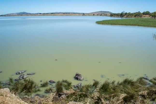 Lake Burrumbeet Picnic Lookout | Goldfields Guide
