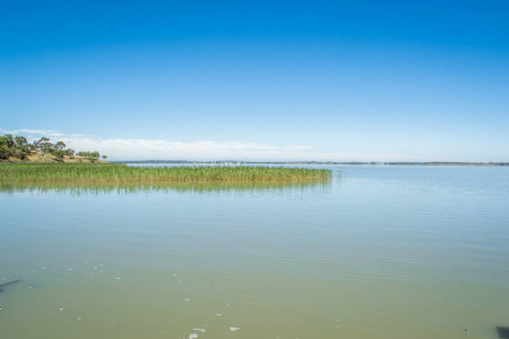 Lake Burrumbeet Park | Goldfields Guide