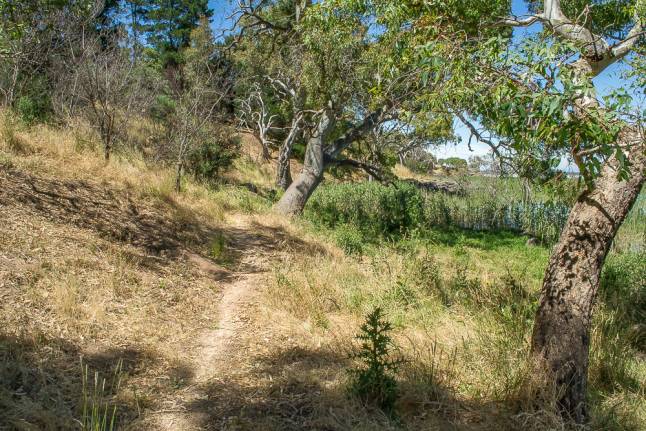 Lake Burrumbeet Nature Walk | Goldfields Guide