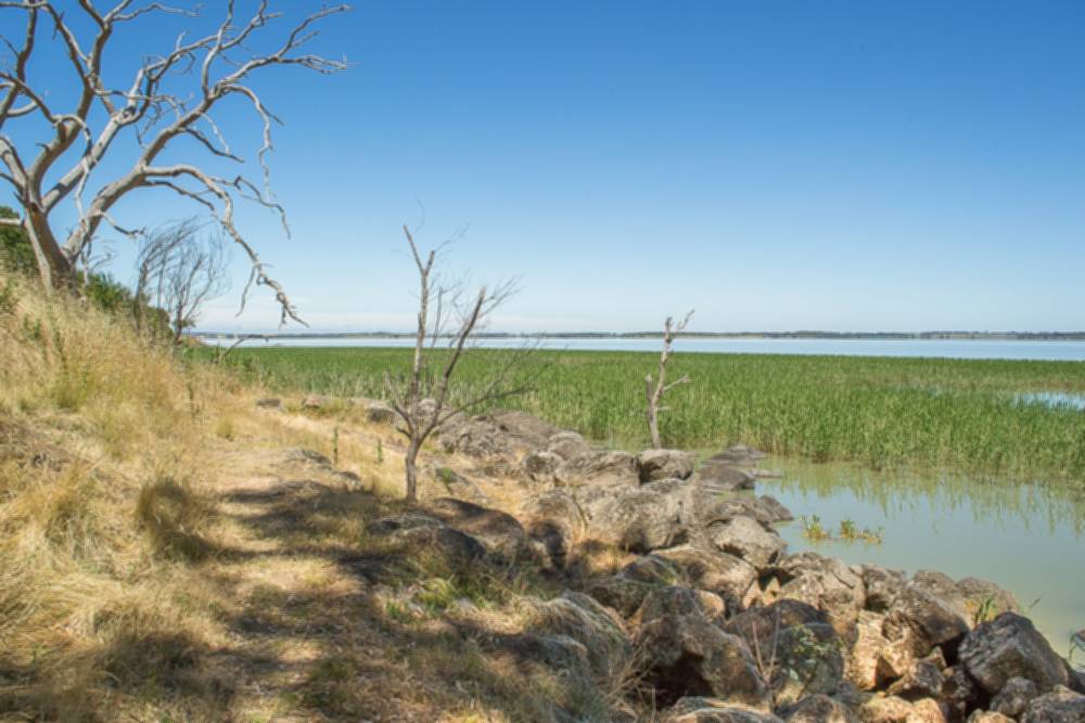 Lake Burrumbeet Nature Walk | Goldfields Guide
