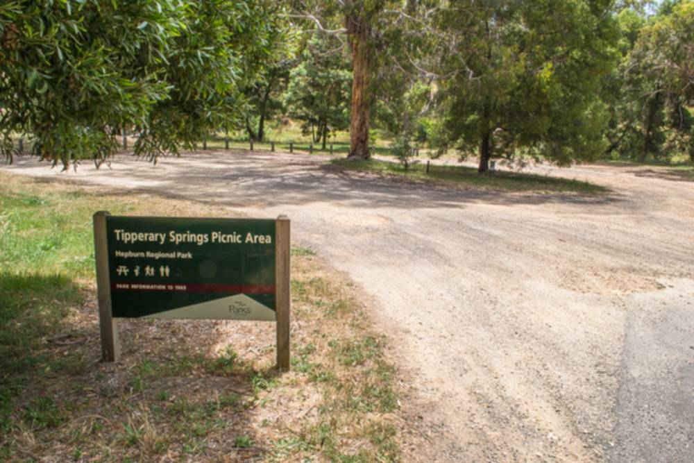 Tipperary Springs | Goldfields Guide