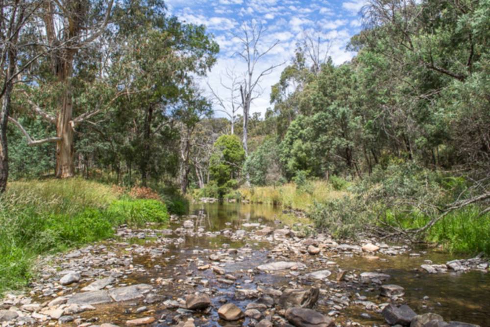 Tipperary Springs | Goldfields Guide