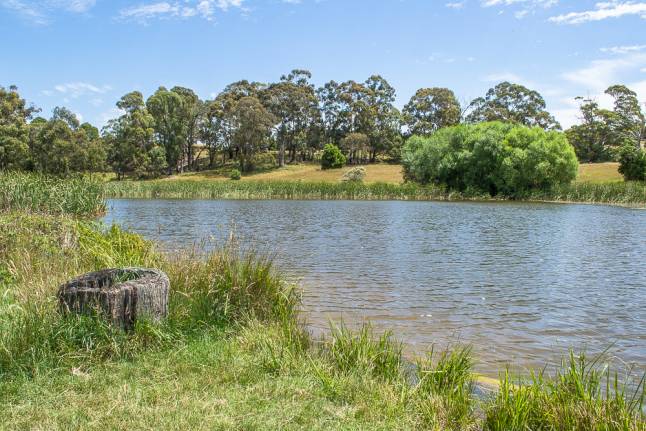 Glenlyon Community Dam | Goldfields Guide