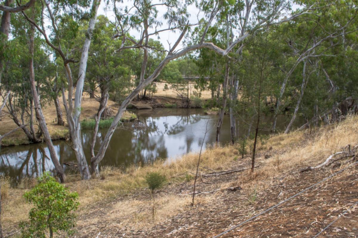 Campaspe Riverside Reserve | Goldfields Guide