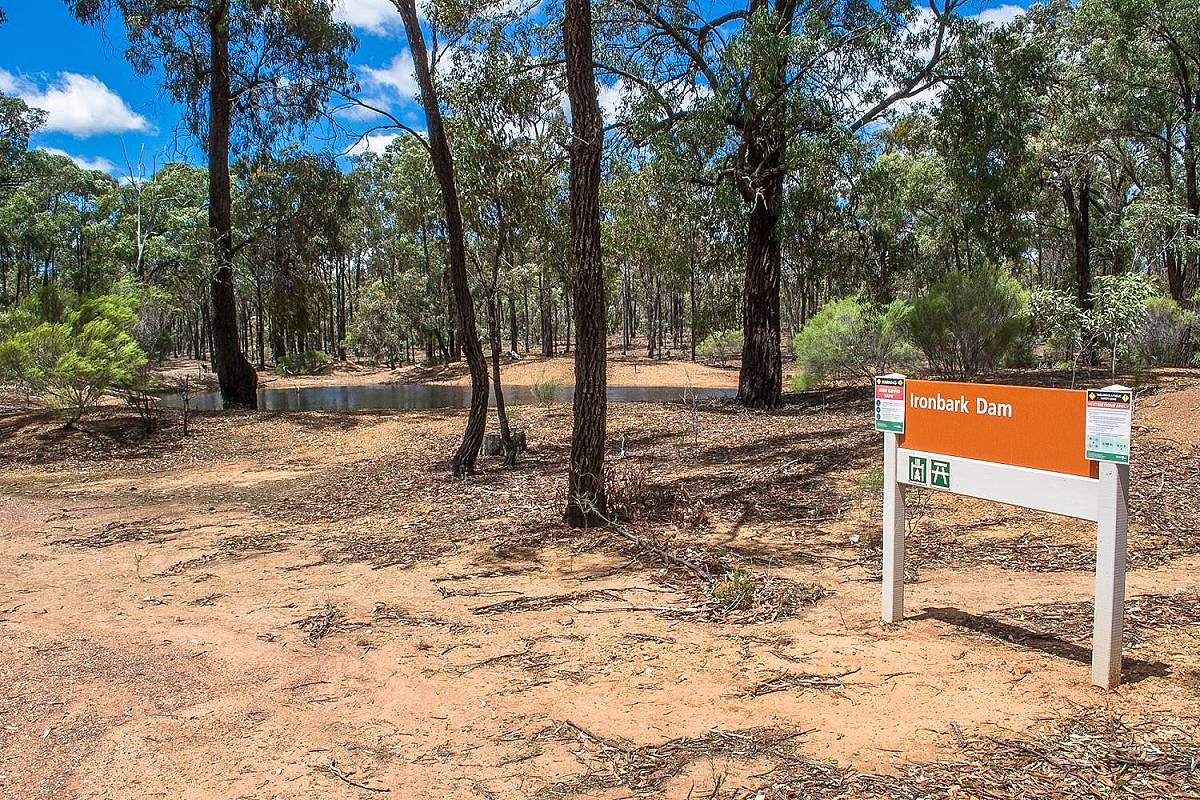 Ironbark Dam Campground | Goldfields Guide