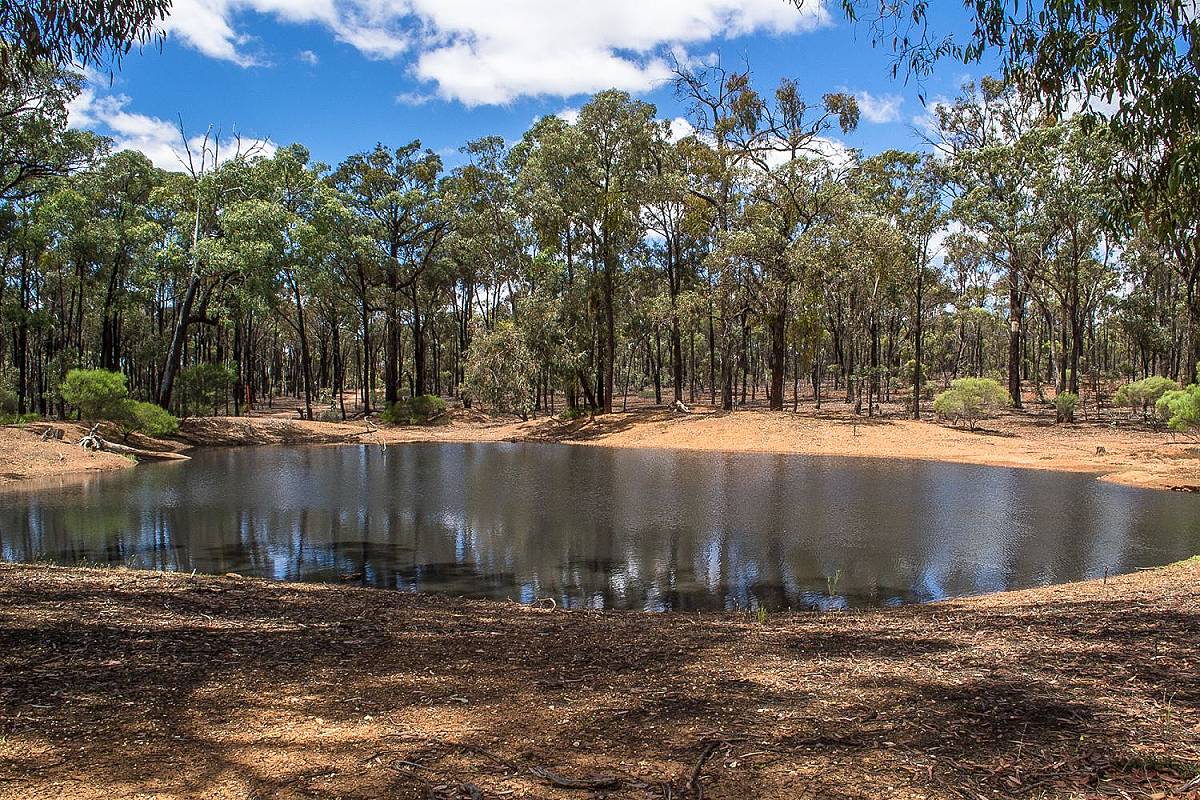 Ironbark Dam Campground | Goldfields Guide