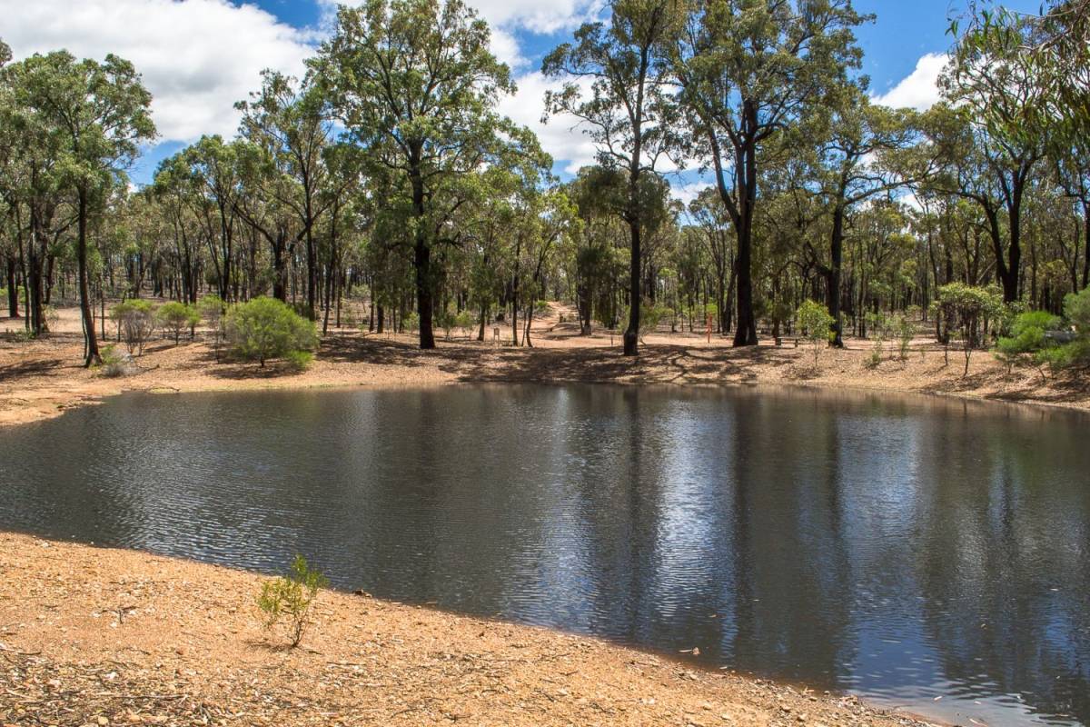 Ironbark Dam Campground | Goldfields Guide
