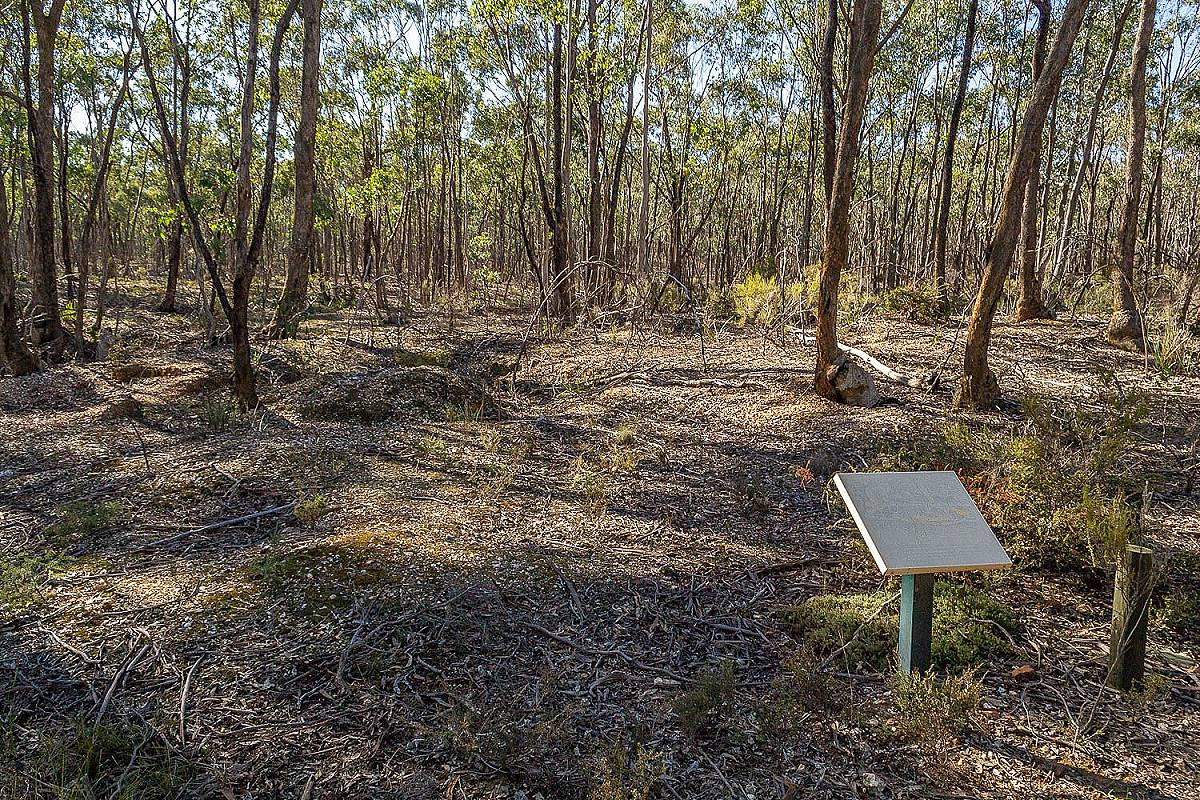 Waterloo Lead Puddler No. 1 | Goldfields Guide