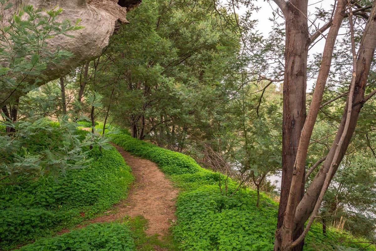 Loddon River Weir Walking Track | Goldfields Guide