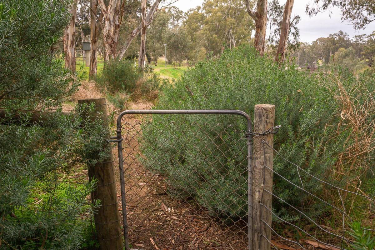 Loddon River Weir Walking Track | Goldfields Guide