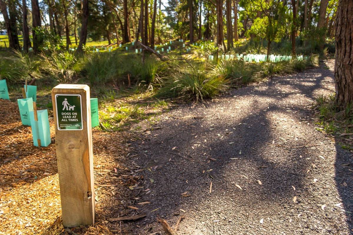 Dementia Friendly Forest and Sensory Trail | Goldfields Guide