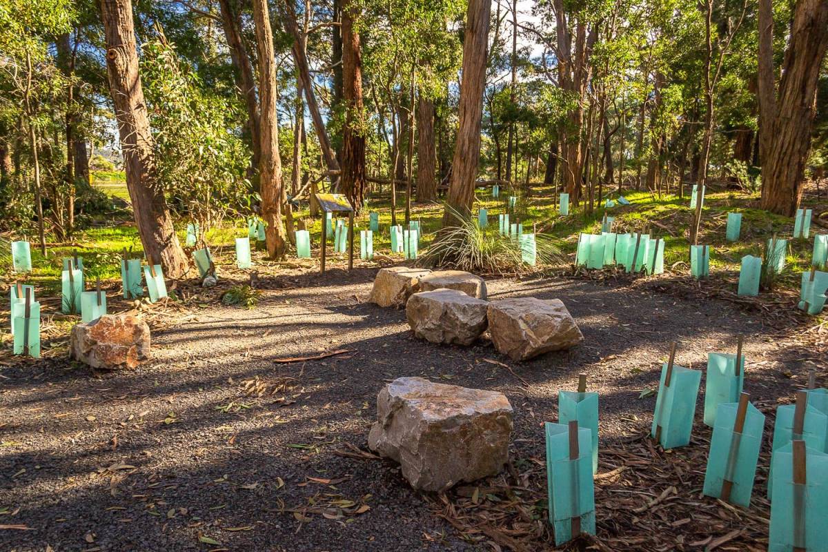 Dementia Friendly Forest and Sensory Trail | Goldfields Guide
