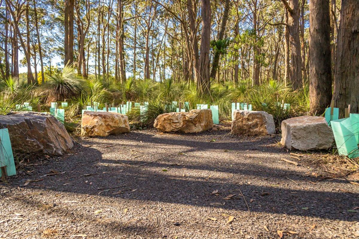 Dementia Friendly Forest and Sensory Trail | Goldfields Guide