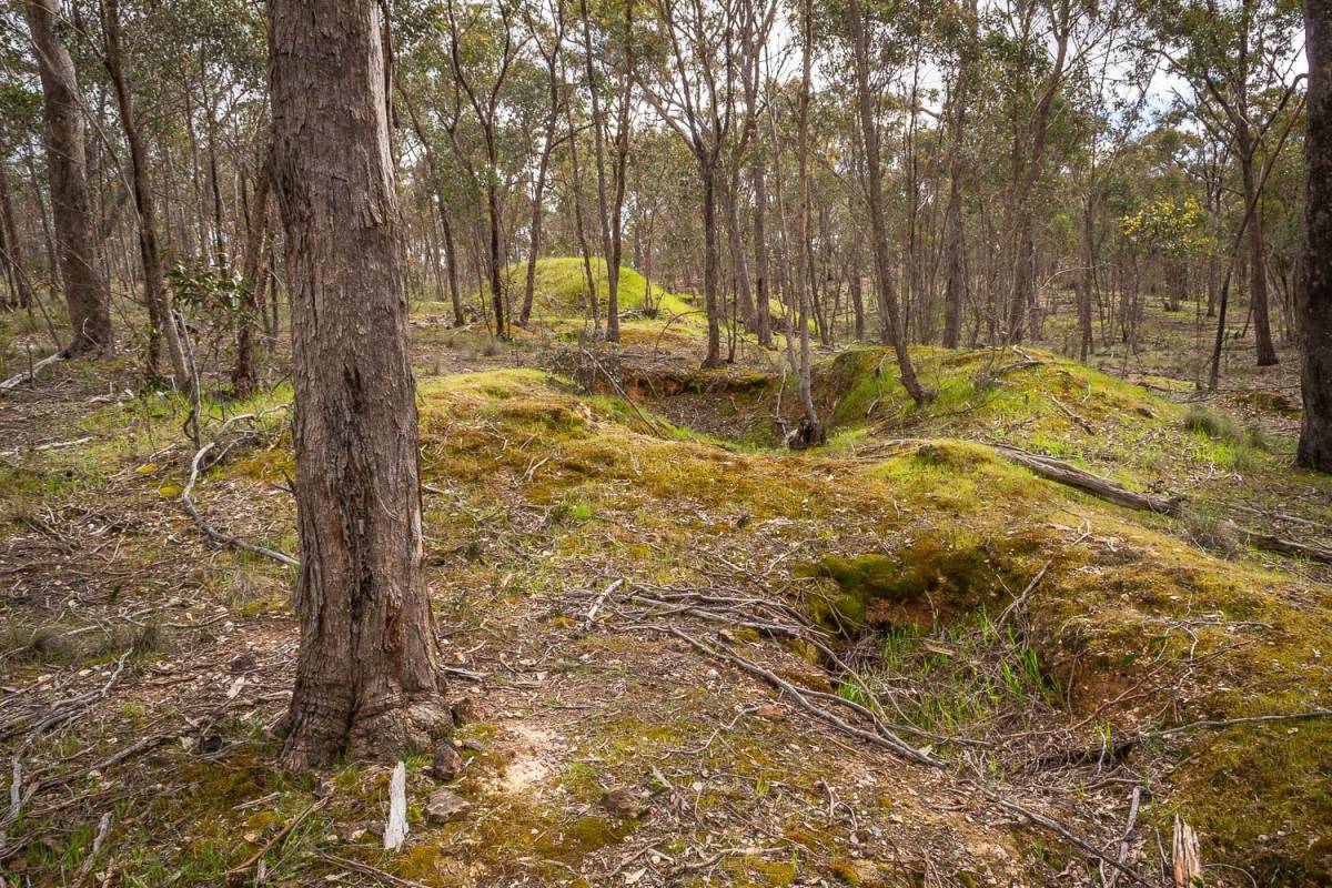 Miner's Hut Ruins and Gold Diggings | Goldfields Guide