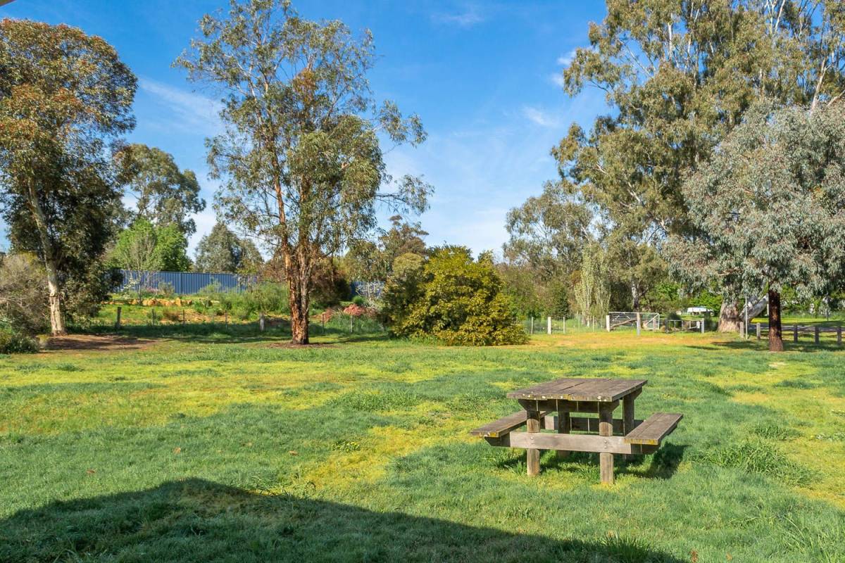 Big Tree Park | Goldfields Guide