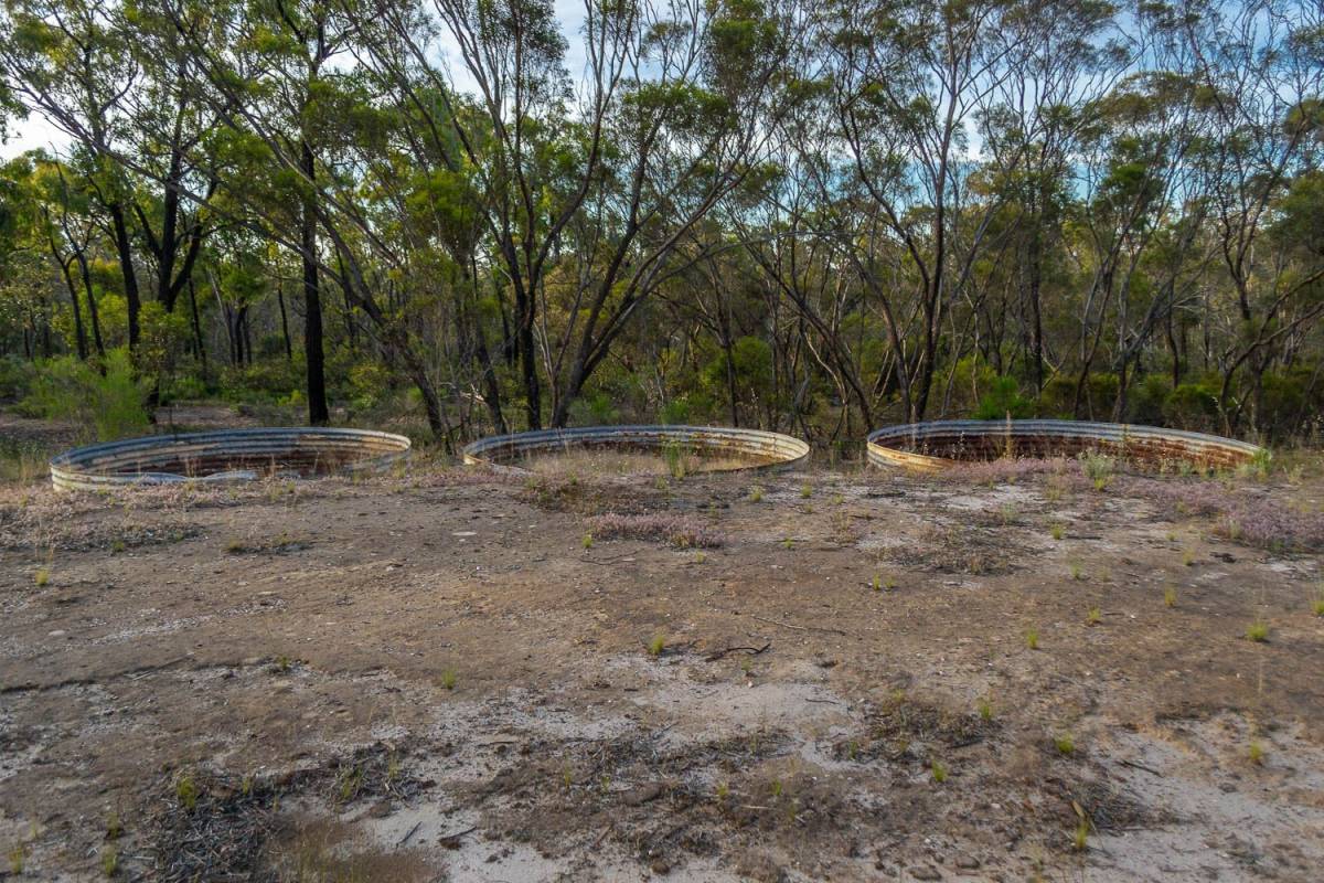 Tarnagulla State Battery Site | Goldfields Guide