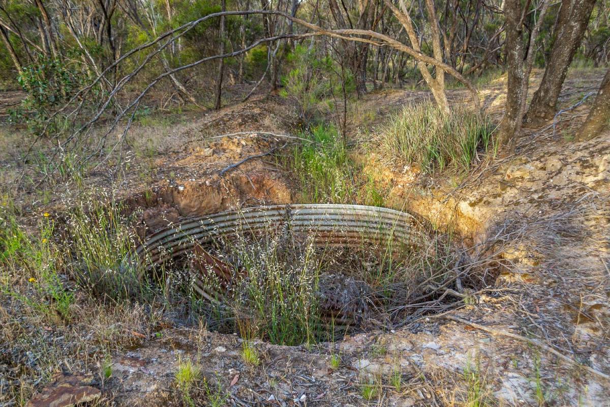 Tarnagulla State Battery Site | Goldfields Guide