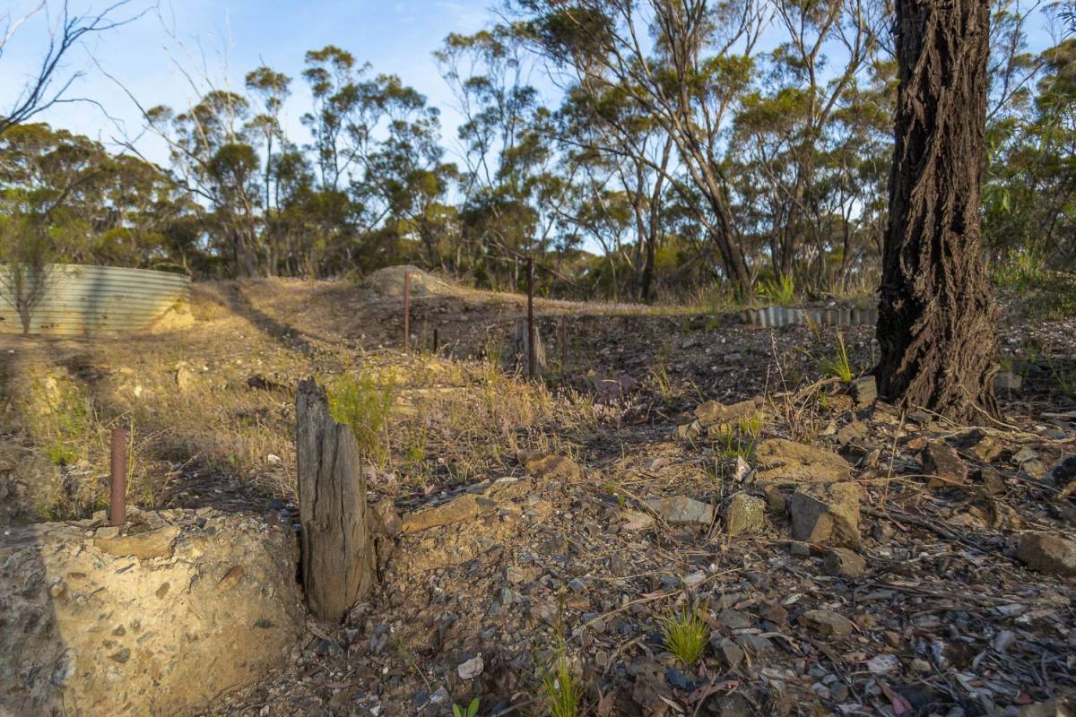 Tarnagulla State Battery Site | Goldfields Guide