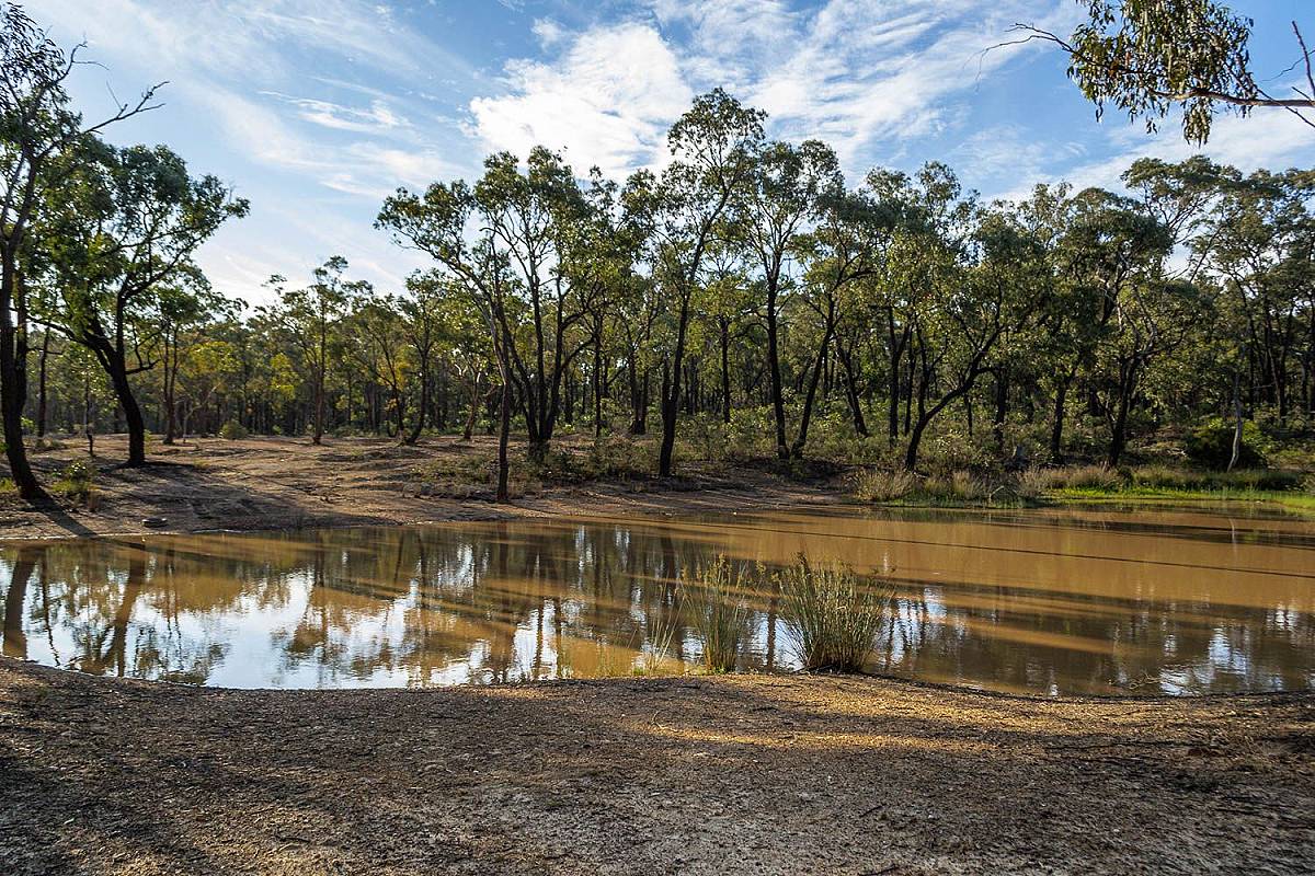 Reconstructed Gold Puddler | Goldfields Guide