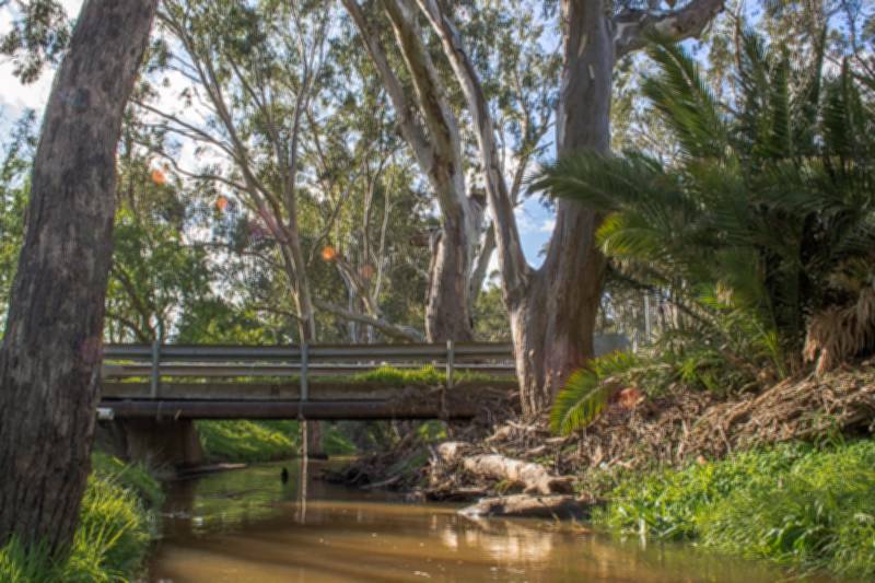 Malone Park | Goldfields Guide