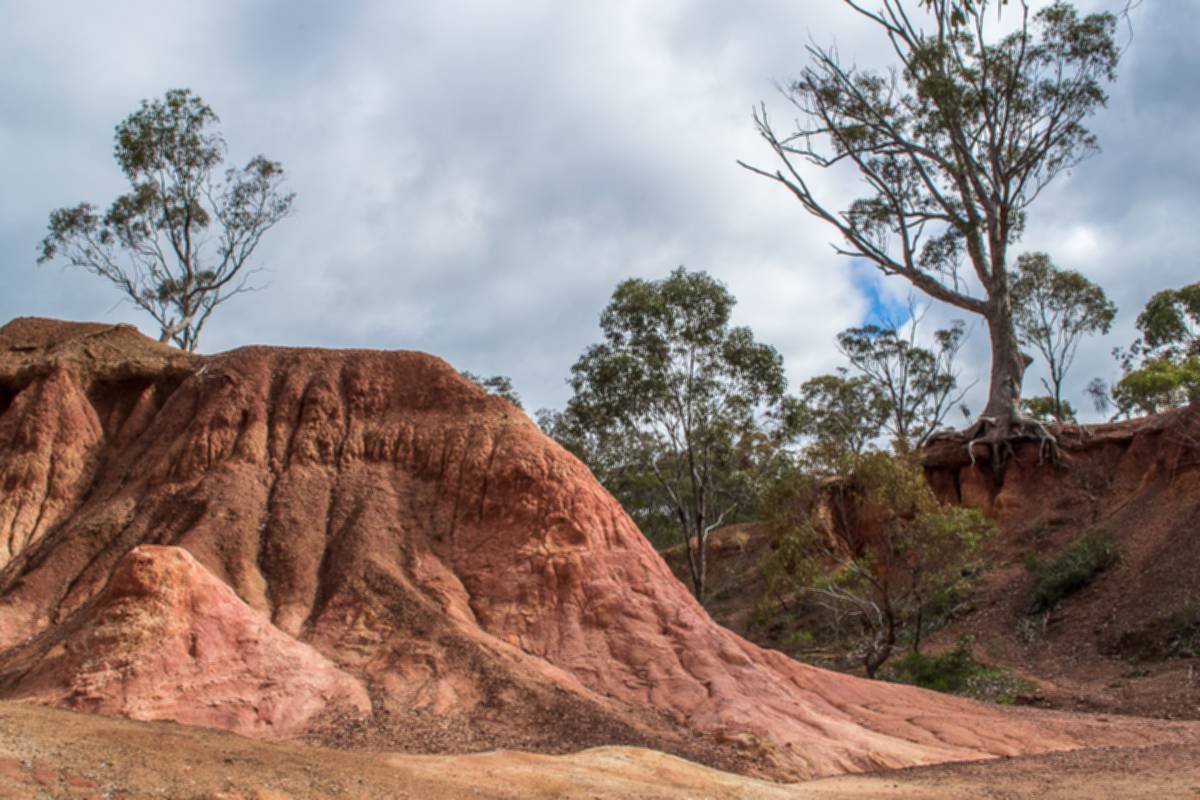 Pink Cliffs Geological Reserve | Goldfields Guide