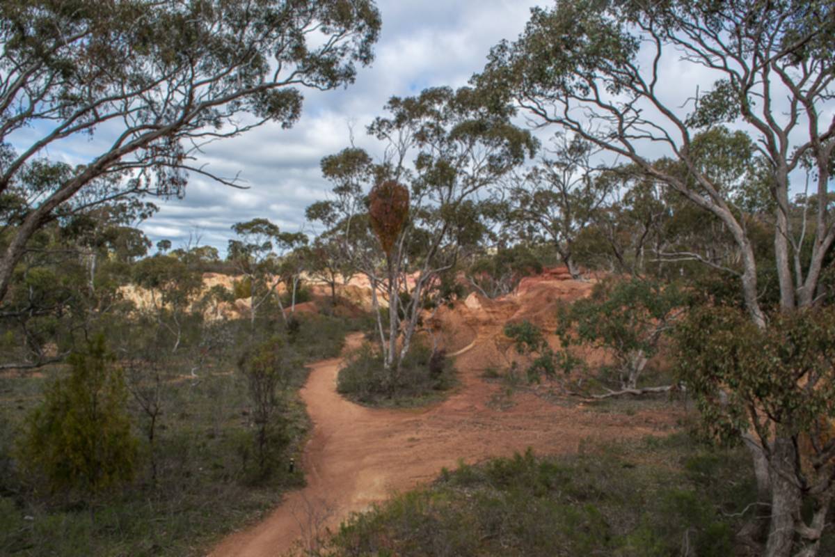 Pink Cliffs Geological Reserve | Goldfields Guide