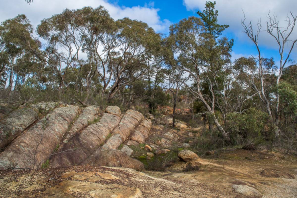 Pink Cliffs Geological Reserve | Goldfields Guide