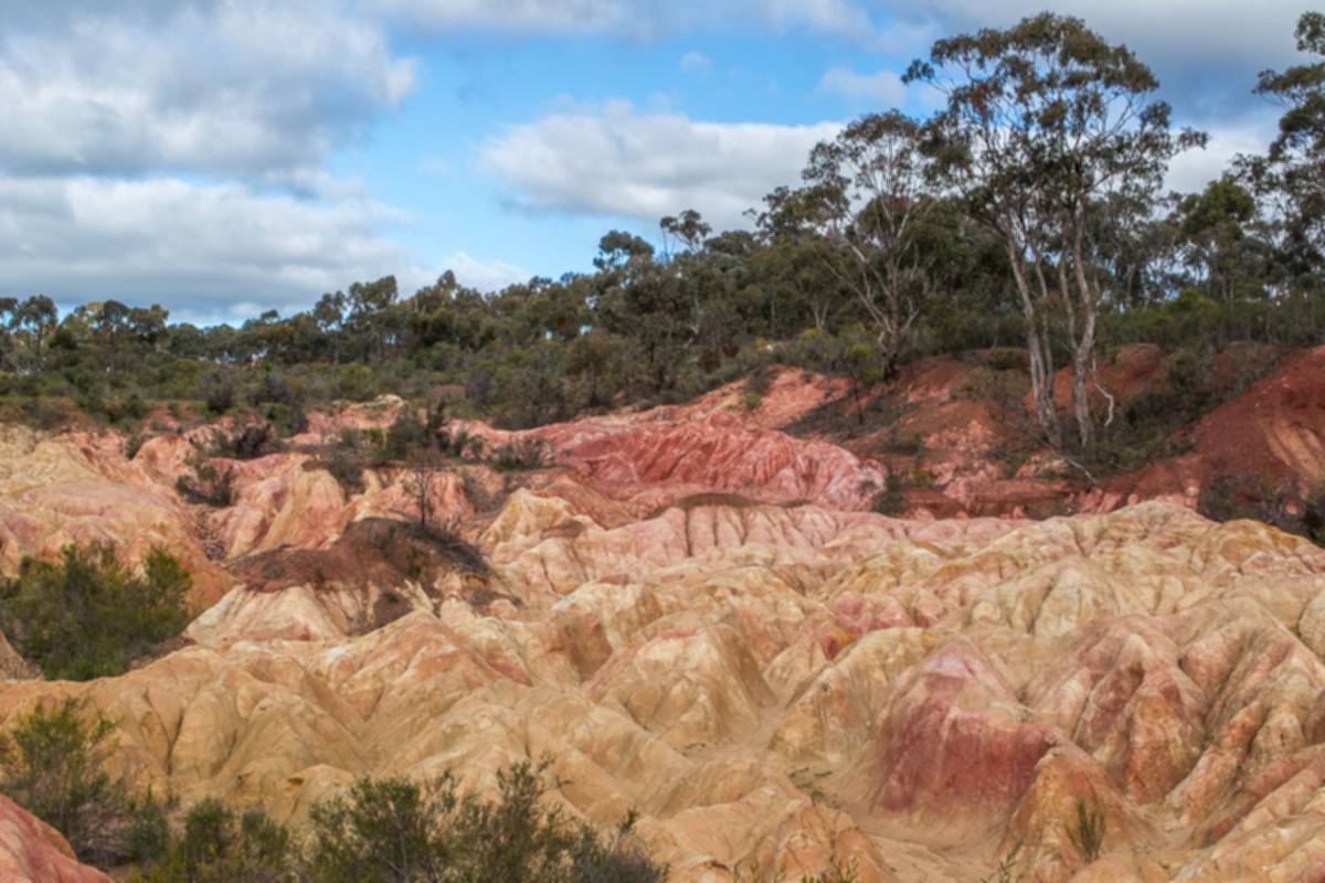Pink Cliffs Geological Reserve | Goldfields Guide