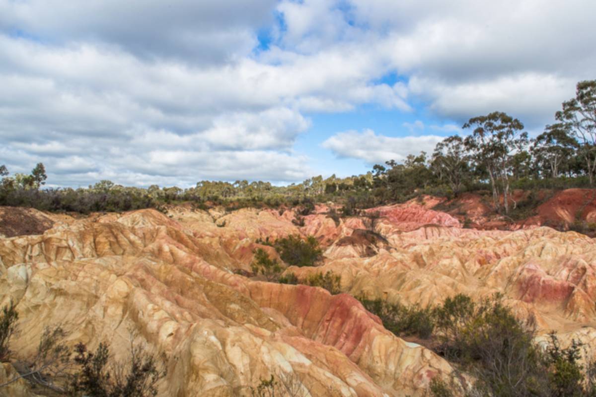 Pink Cliffs Geological Reserve | Goldfields Guide