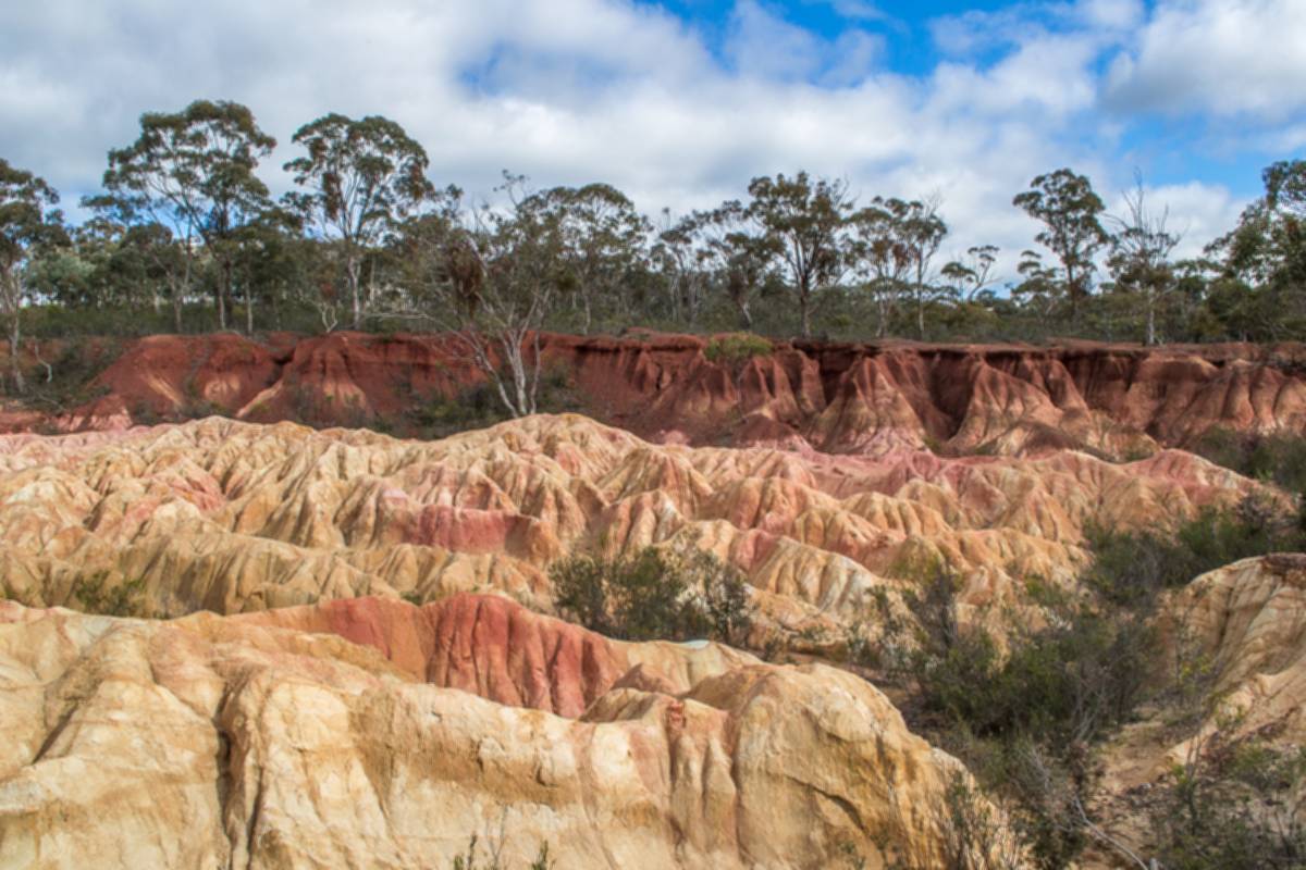 Pink Cliffs Geological Reserve | Goldfields Guide
