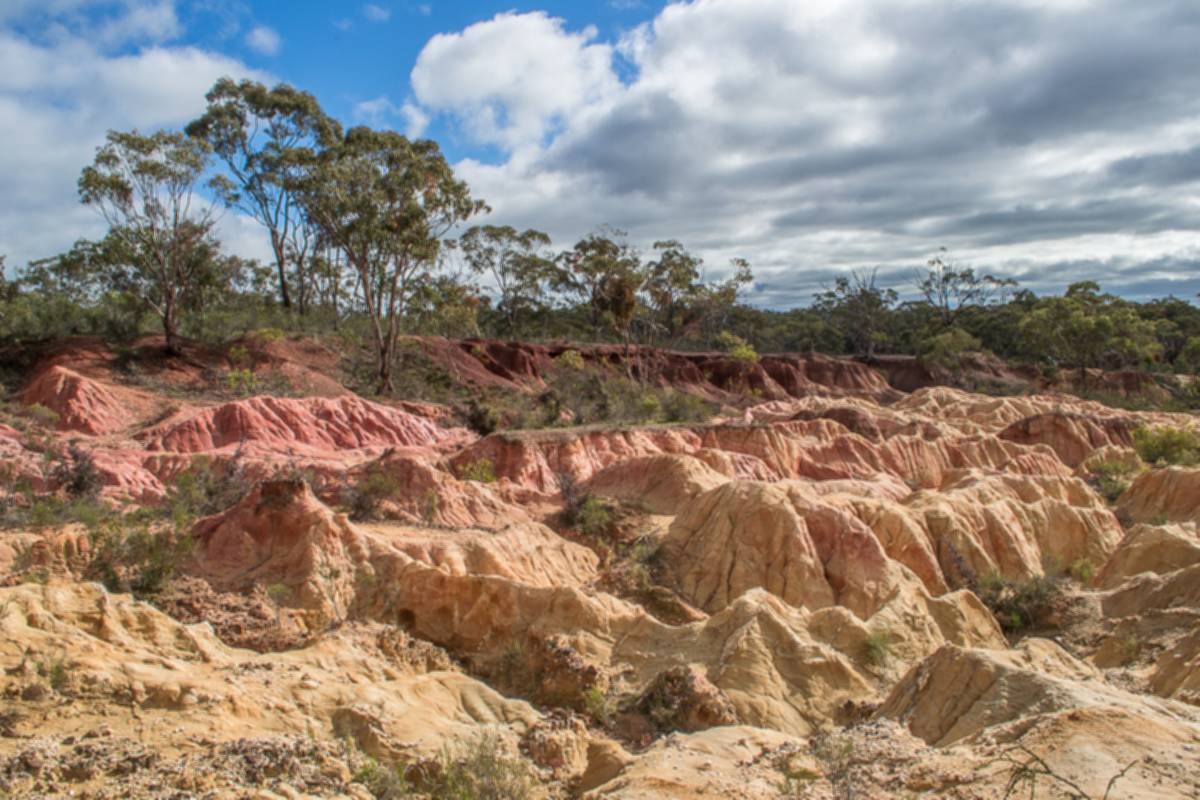 Pink Cliffs Geological Reserve | Goldfields Guide
